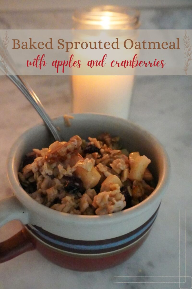 Baked Sprouted Oatmeal with Apples and Cranberries - Nourish Yourself
