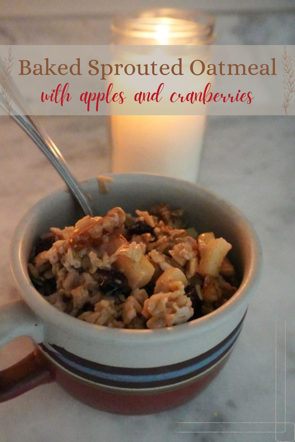 Baked Sprouted Oatmeal with Apples and Cranberries - Nourish Yourself