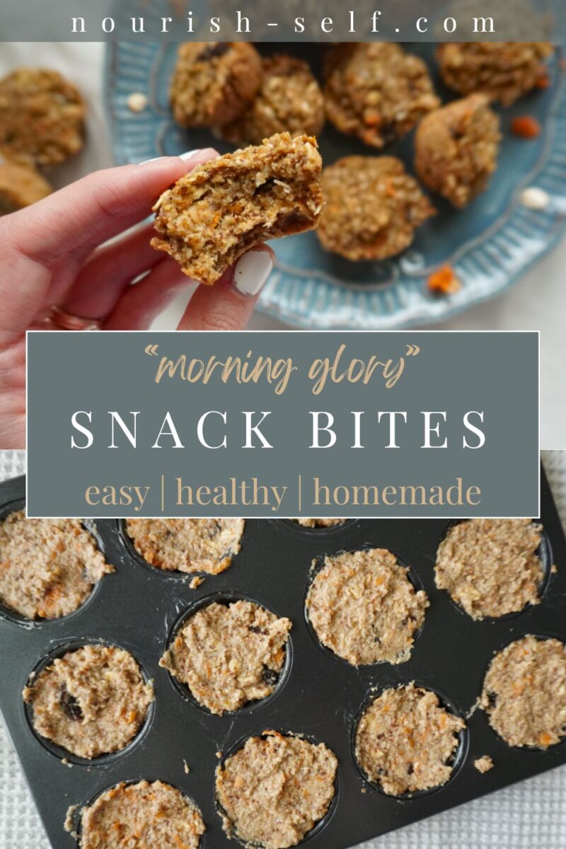 Morning Glory Snack Bites- (Oil and Refined Sugar Free) - Nourish Yourself