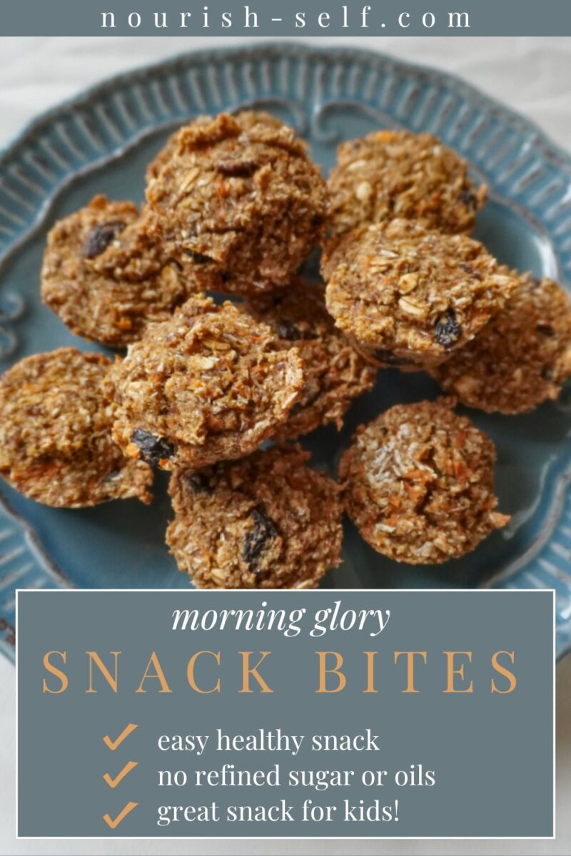 Morning Glory Snack Bites- (Oil and Refined Sugar Free) - Nourish Yourself